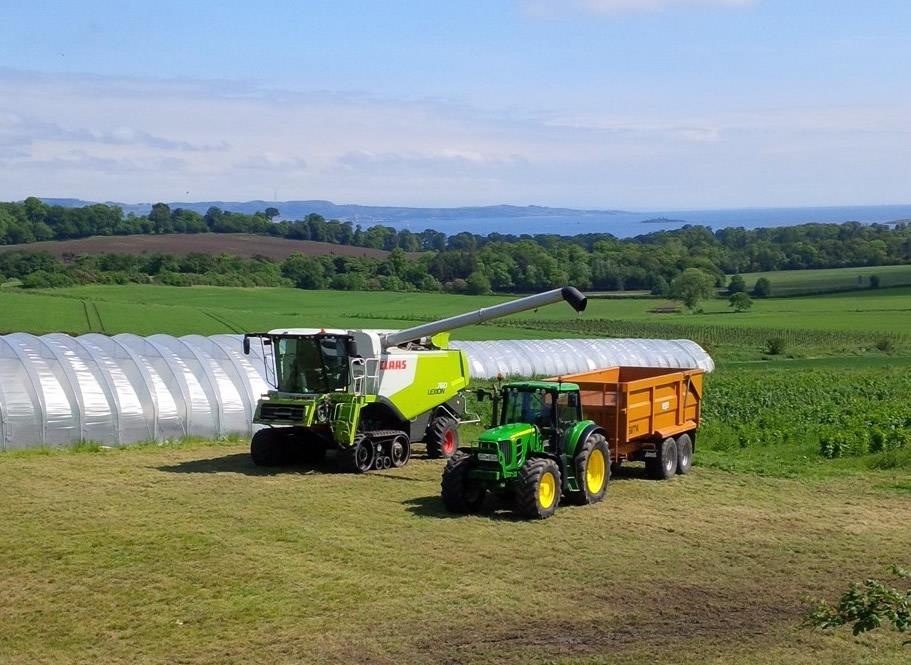 Craigies Farm - A Wee Pinch of Sugar